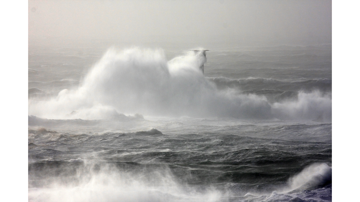 Our Company - WeatherNet